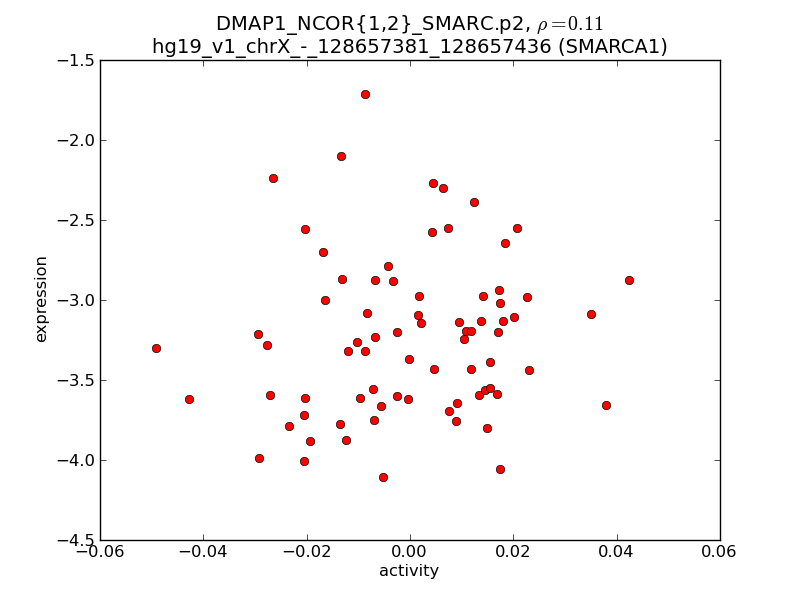 ISMARA results: DMAP1_NCOR{1,2}_SMARC.p2